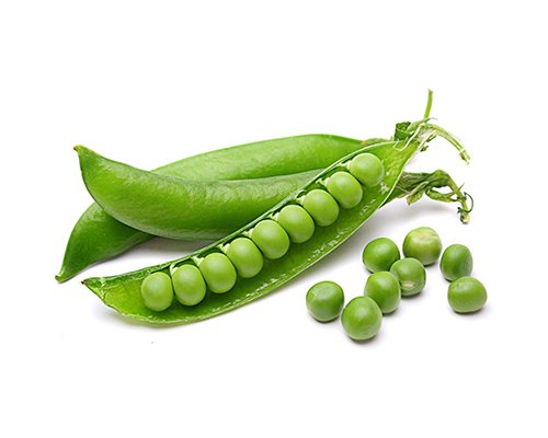 Pea Extract - Petalstory Beauty