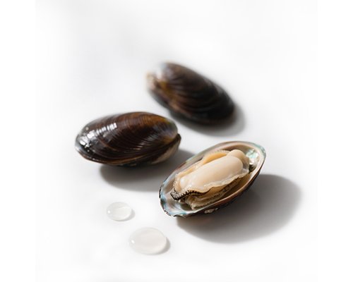 Mussel Adhesive Protein - Petalstory Beauty
